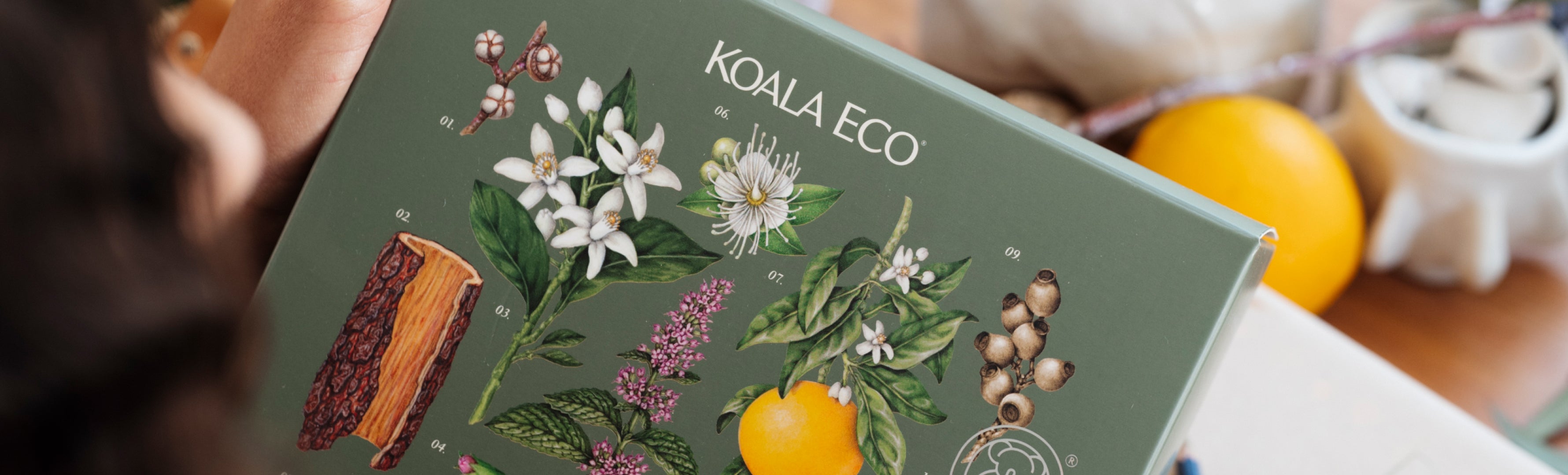 Let Nature Be Your Holiday Inspiration – Koala Eco USA