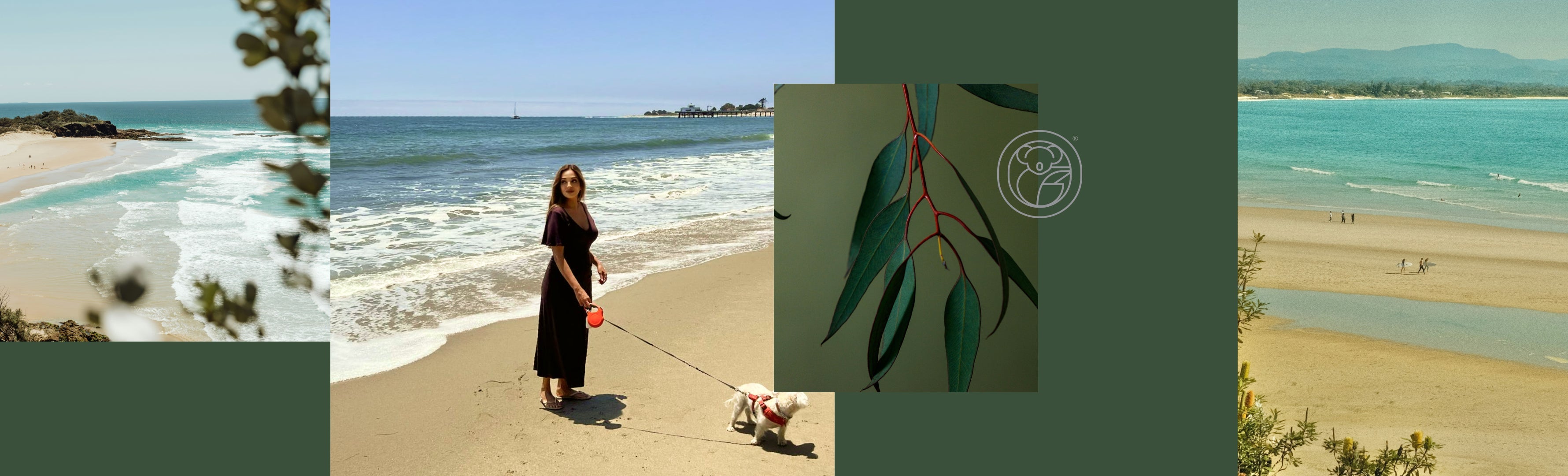 Nature as Medicine: A Conversation with Dr. Nigma Talib – Koala Eco USA