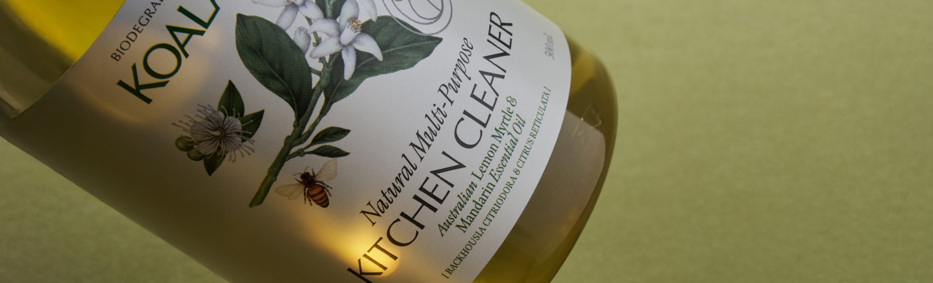 Refresh your home this fall – Koala Eco USA