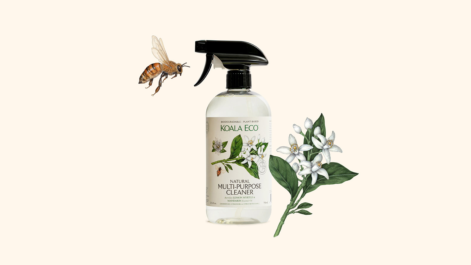 Our Multi-Purpose Kitchen Cleaner – Koala Eco USA