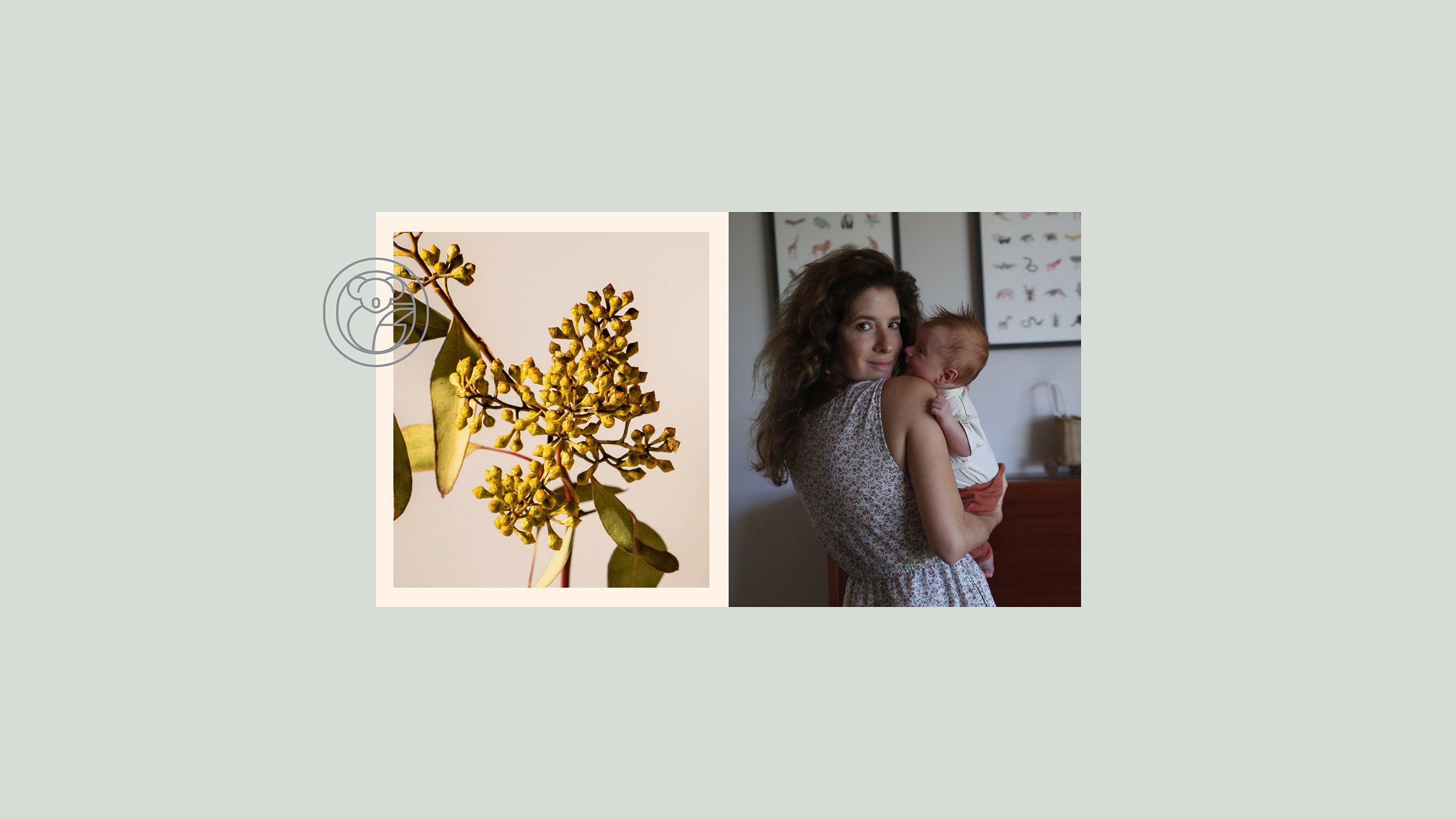 Chloe Brookman – Koala Eco USA