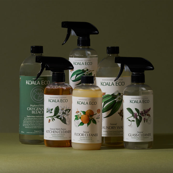 How Koala Eco’s support of Critter Scholars is helping inspire our nex ...