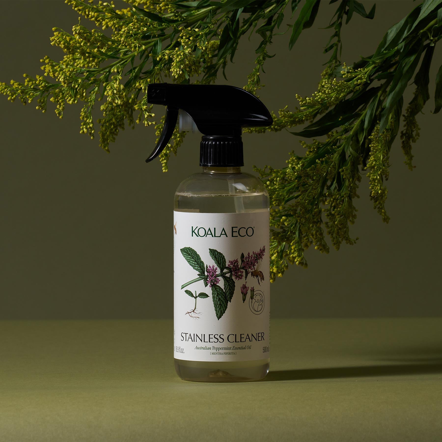 Stainless Cleaner – Koala Eco USA