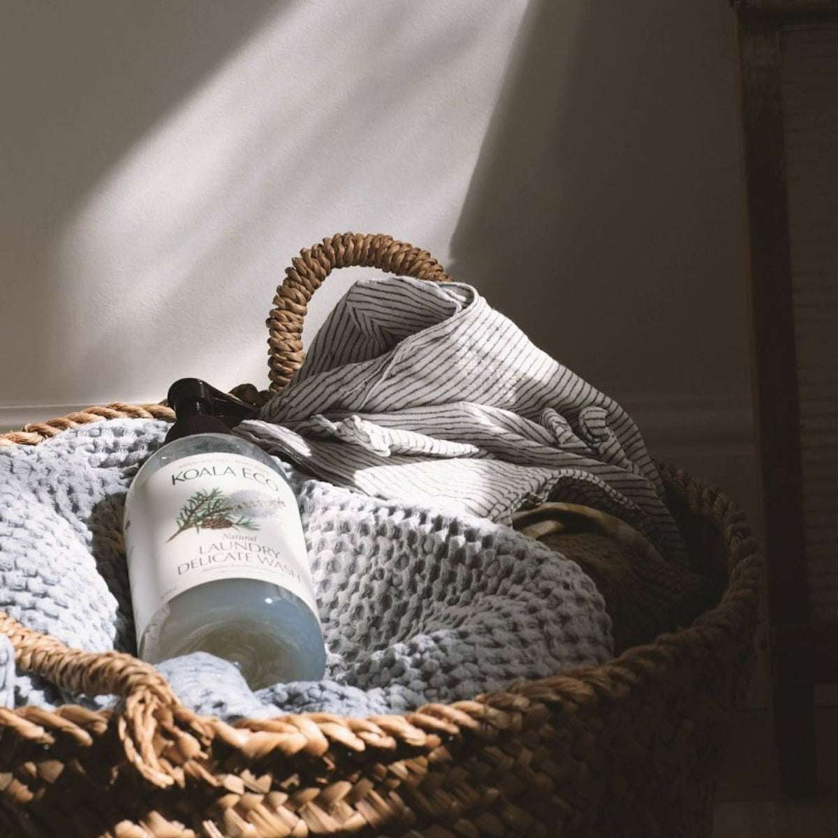 All Products – Koala Eco USA